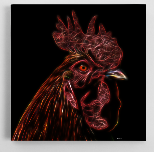 Rhode Island Red Rooster Rampage – The Heidaway Art Gallery