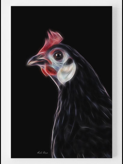 Exotic and Rare - White faced Black Spanish Hen – The Heidaway Art Gallery