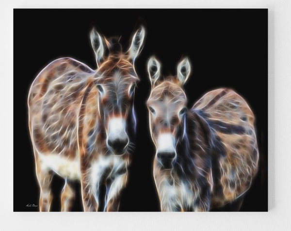 Donkey Duo! – The Heidaway Art Gallery